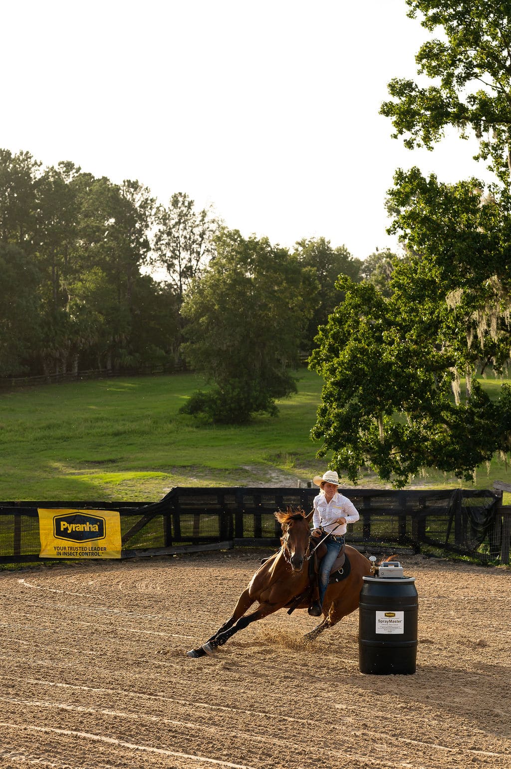 Horse Photography Florida | Maven Photo + Film