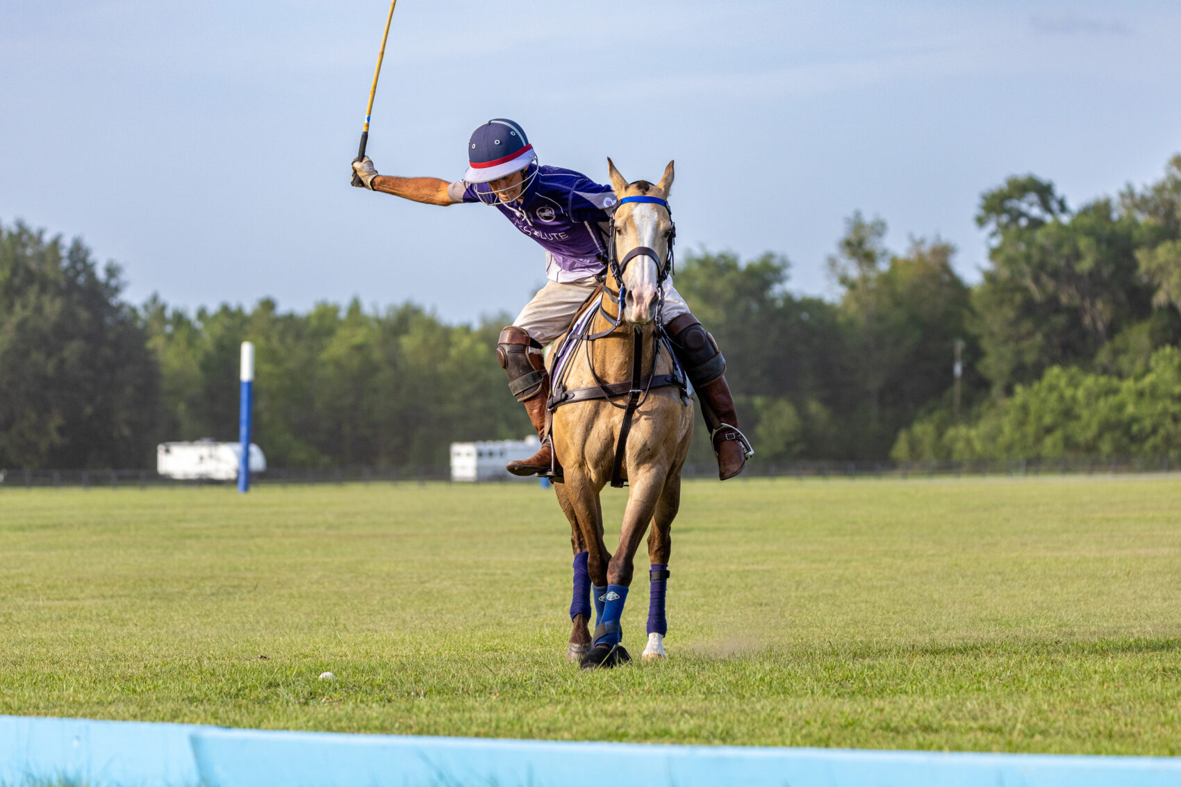Equine Photography & Videography | Maven Photo + Film